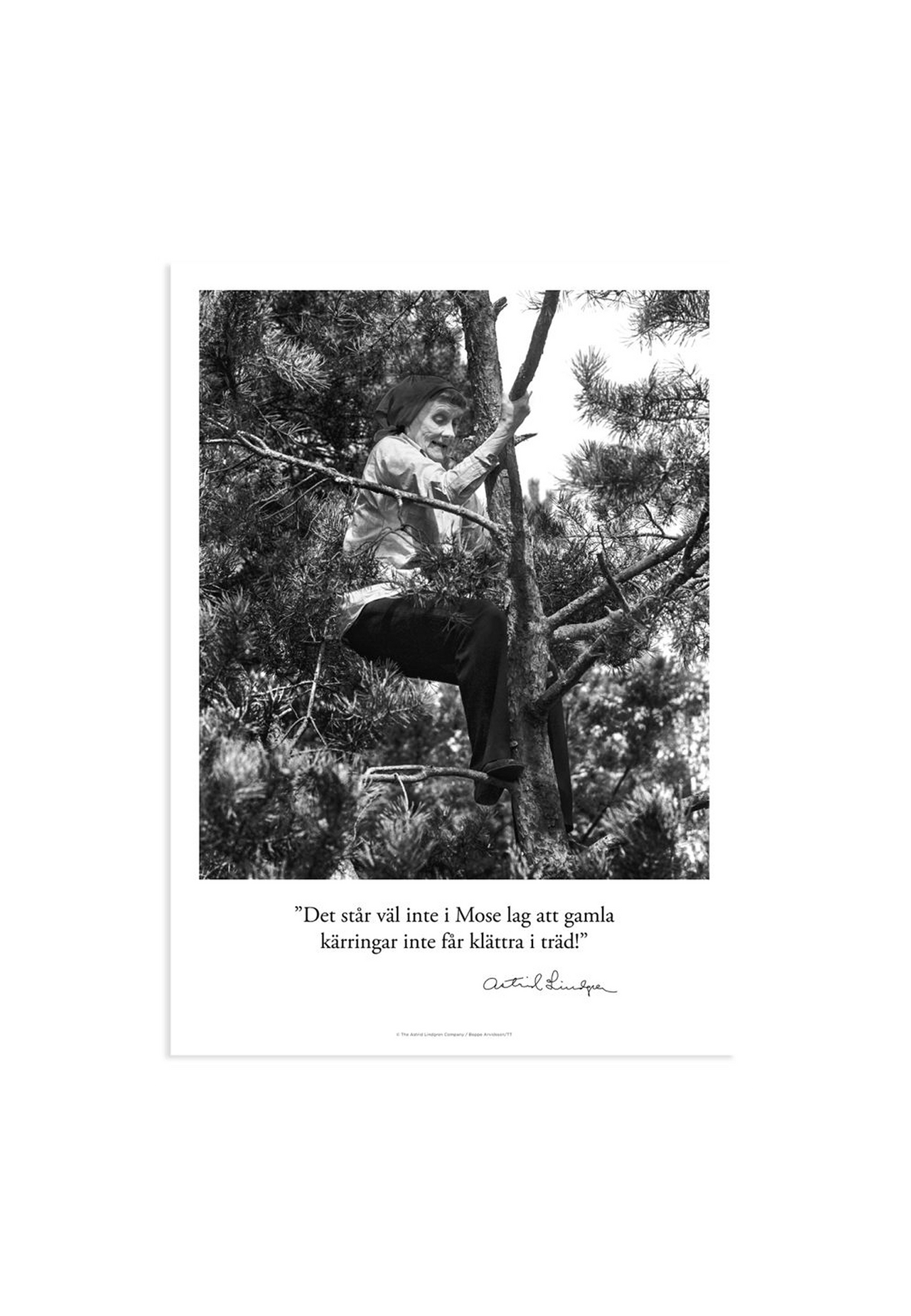 Buy Astrid Lindgren Climb Tree Poster 50x70 cm - Astrid Lindgren